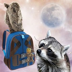 Disney | Accessories | Disney Marvels Rocket Raccoon Childrens Backpack ...